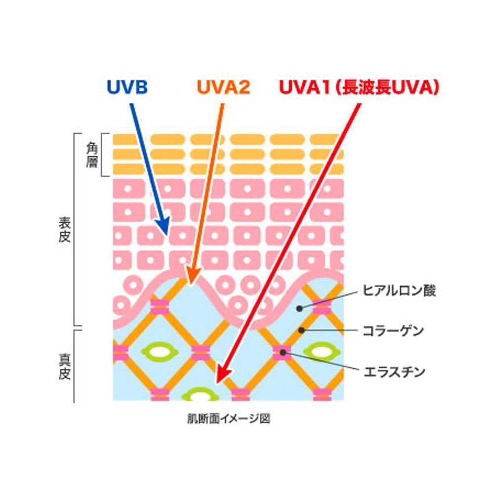 DHC Suncut Perfect Milk Q10 SPF50+ PA++++ 50g – DHC Nepal